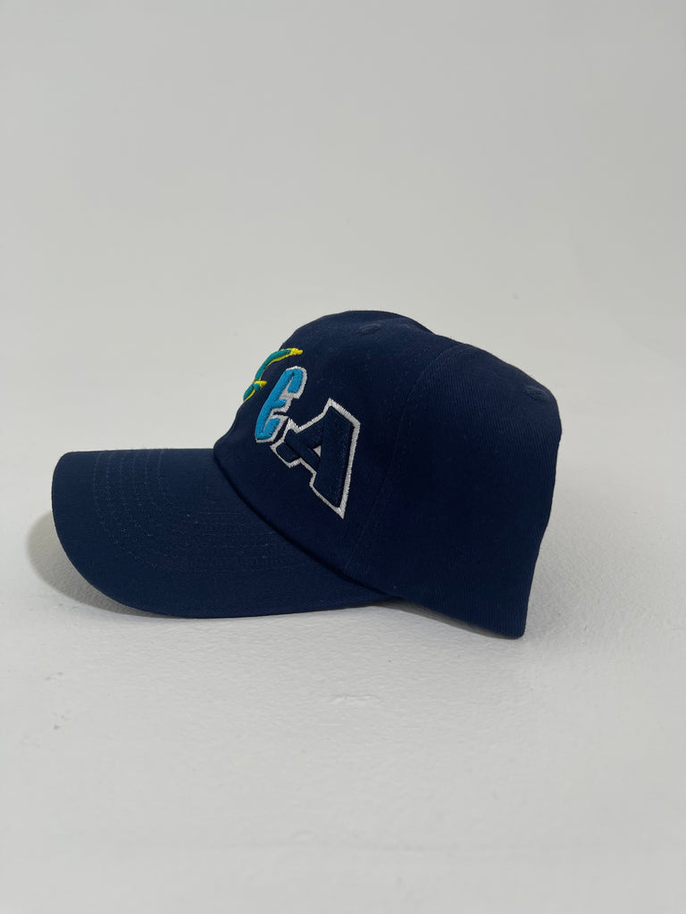 Maestro "Rep SEA" Dad Hat – Throwbacksnw.com